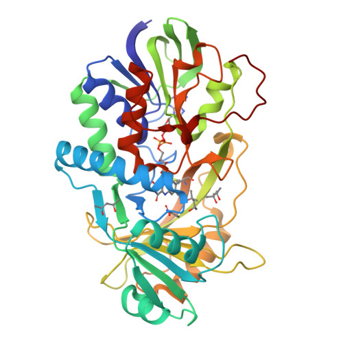 RCSB PDB - 3HZL: Tyr258Phe mutant of NikD, an unusual amino acid ...