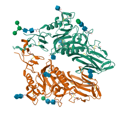 RCSB PDB - 3I26: Structure of bovine torovirus Hemagglutinin-Esterase