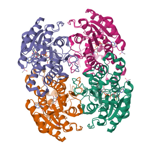 RCSB PDB - 3I3O: 2.06 Angstrom resolution crystal structure of a short ...