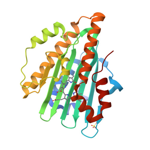 RCSB PDB - 3I94: Crystal structure of PcyA-biliverdin XIII alpha complex