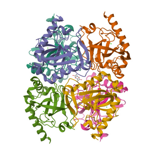 RCSB PDB - 3I98: X-ray crystallographic structure of Inorganic ...