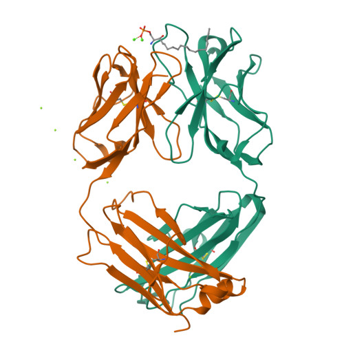 RCSB PDB - 3I9G: Crystal structure of the LT1009 (SONEPCIZUMAB ...