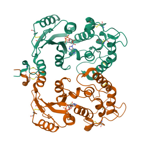 RCSB PDB - 3I9O: Crystal structure of ADP ribosyl cyclase complexed ...