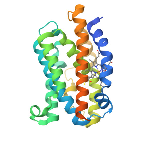 RCSB PDB - 3I9U: Crystal structure of the rat heme oxygenase (HO-1) in ...