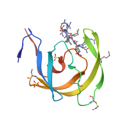 RCSB PDB - 3IA9: Crystal structure of a chemically synthesized [D25N ...