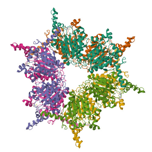 RCSB PDB - 3IB9: Propionyl-CoA Carboxylase Beta Subunit, D422L