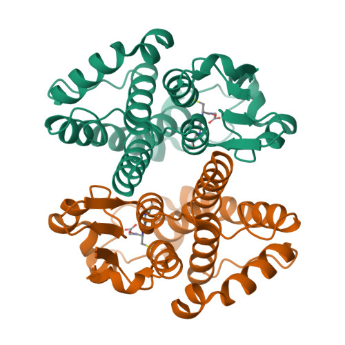 RCSB PDB - 3IBH: Crystal structure of Saccharomyces cerevisiae Gtt2 in ...