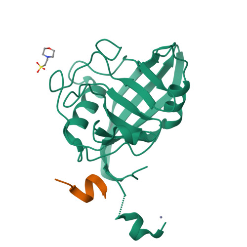 RCSB PDB - 3ICI: Crystal structure of cyclophilin B in complex with ...