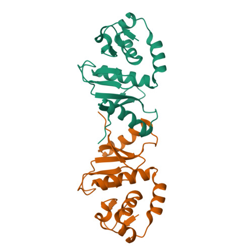 RCSB PDB - 3IF0: Crystal Structure of the Nanoarchaeum equitans tRNA ...