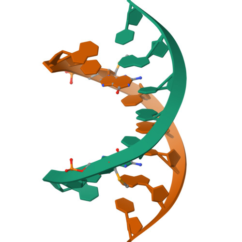 RCSB PDB - 3IFI: 2'-SeMe-dG modified octamer DNA