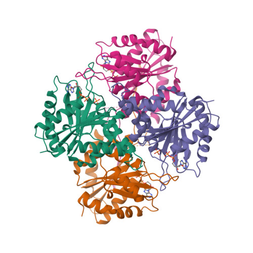 RCSB PDB - 3IHL: Human CTPS2 crystal structure