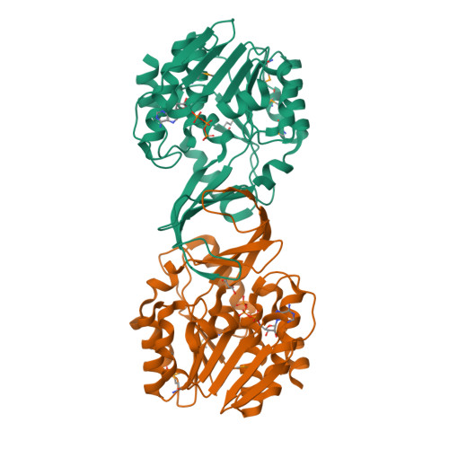 RCSB PDB - 3IKH: Crystal structure of Ribokinase in Complex with ATP ...