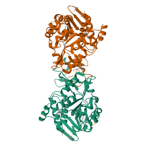 RCSB PDB - 3IN1: Crystal structure of a putative Ribokinase in complex ...