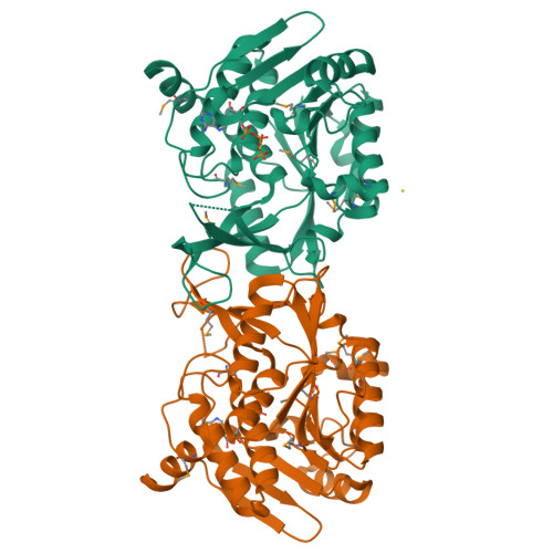 RCSB PDB - 3IQ0: Crystal structure of a putative Ribokinase II in ...