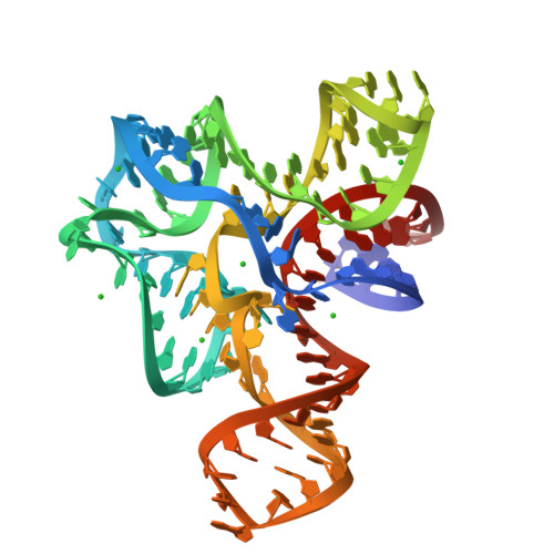 RCSB PDB - 3IQP: SAM-I riboswitch from T. tencongensis variant A94G apo ...