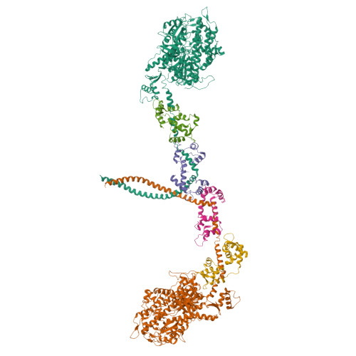 RCSB PDB - 3J04: EM structure of the heavy meromyosin subfragment of ...