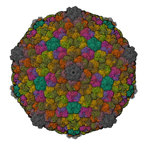 RCSB PDB - 3J26: The 3.5 A resolution structure of the Sputnik ...