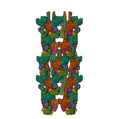 RCSB PDB - 3JAX: Heavy meromyosin from Schistosoma mansoni muscle thick ...