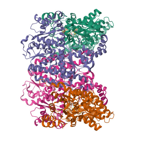 RCSB PDB - 3K1A: Insights into substrate binding at FeMo-cofactor in ...