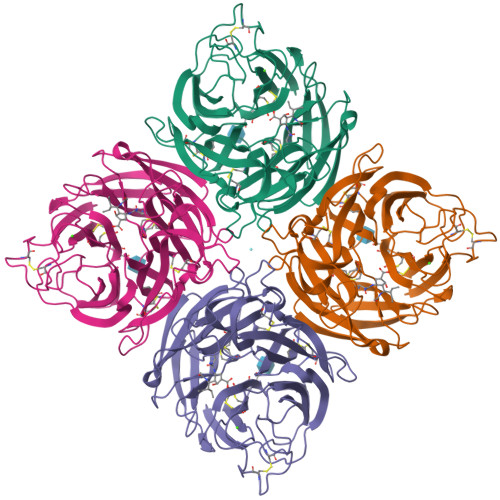 RCSB PDB - 3K39: Crystal Structure of B/Perth Neuraminidase D197E ...