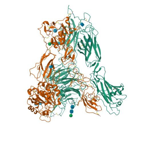 RCSB PDB - 3K71: Structure of integrin alphaX beta2 ectodomain
