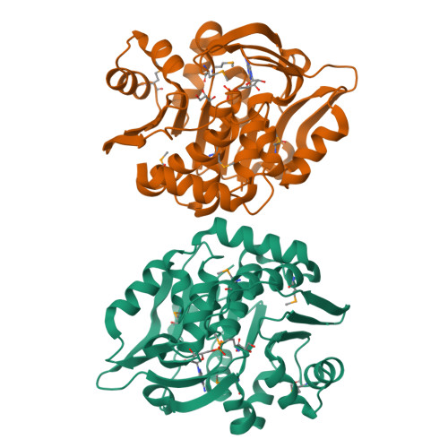 RCSB PDB - 3KD6: Crystal Structure of Nucleoside Kinase from Chlorobium ...