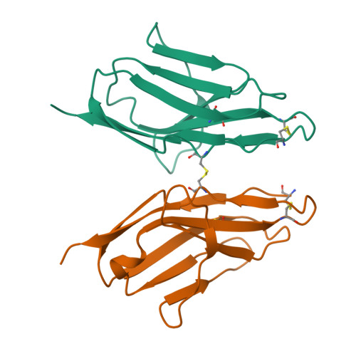 RCSB PDB - 3KG5: Crystal structure of human Ig-beta homodimer