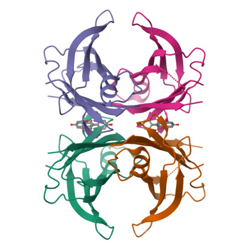RCSB PDB - 3KGT: V30M mutant human transthyretin (TTR) complexed with ...