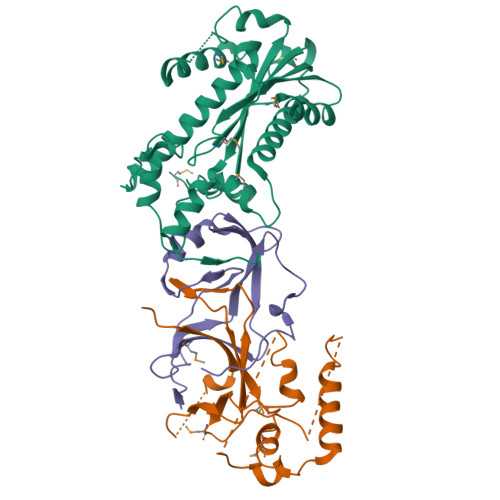 RCSB PDB - 3KIO: mouse RNase H2 complex