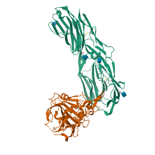 RCSB PDB - 3KLD: PTPRG CNTN4 complex