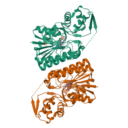 RCSB PDB - 3KO8: Crystal Structure of UDP-galactose 4-epimerase