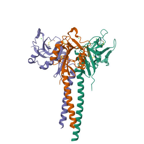 RCSB PDB - 3KQG: Trimeric Structure of Langerin
