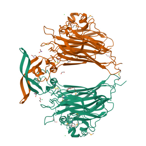 RCSB PDB - 3KS7: Crystal structure of Putative Peptide:N-glycosidase F ...