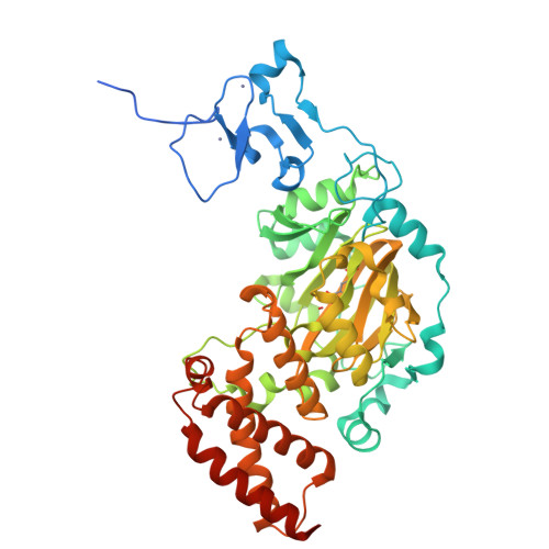 RCSB PDB - 3KV6: Structure of KIAA1718, human Jumonji demethylase, in ...