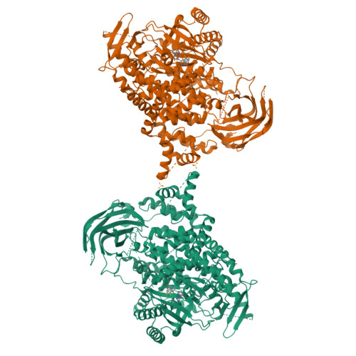 RCSB PDB - 3L08: Structure of Pi3K gamma with a potent inhibitor ...