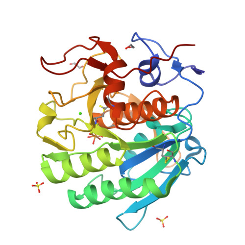 RCSB PDB - 3L1K: SAD structure solution of proteinase K grown in ...