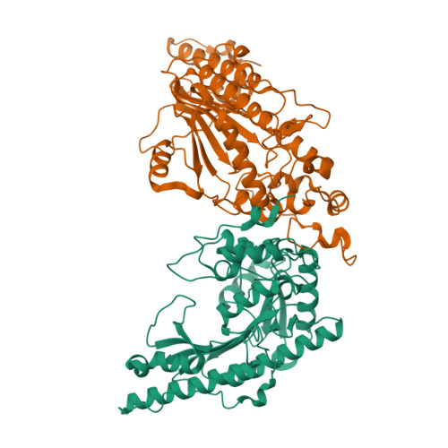 RCSB PDB - 3L2D: Glycocyamine kinase, beta-beta homodimer from marine ...