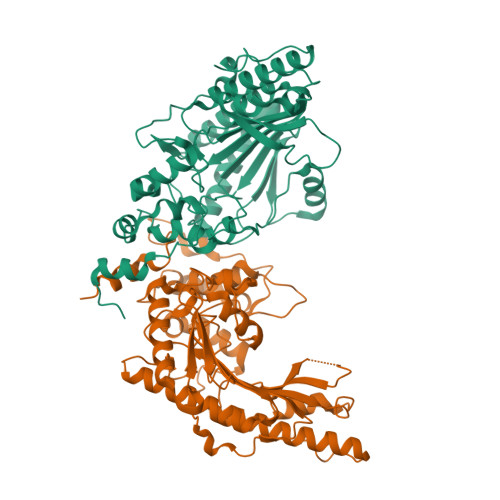 RCSB PDB - 3L2E: Glycocyamine kinase, alpha-beta heterodimer from ...