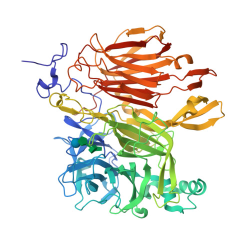 RCSB PDB - 3LEM: Crystal structure of fructosyltransferase (D191A) from ...