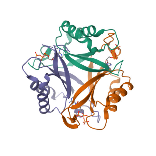 RCSB PDB - 3LF0: Crystal structure of the ATP bound Mycobacterium ...