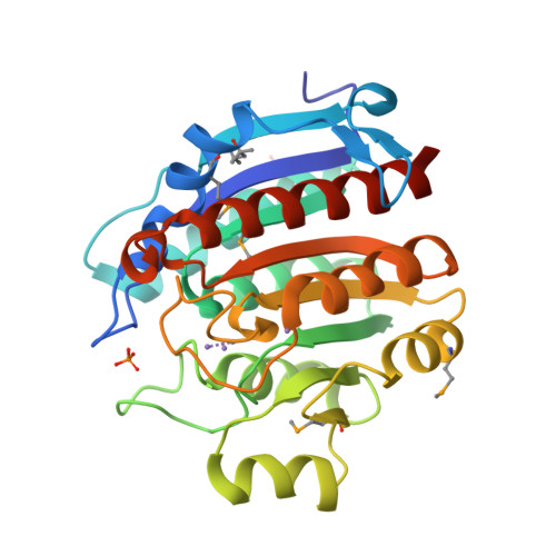 RCSB PDB - 3LHL: Crystal structure of a putative agmatinase from ...