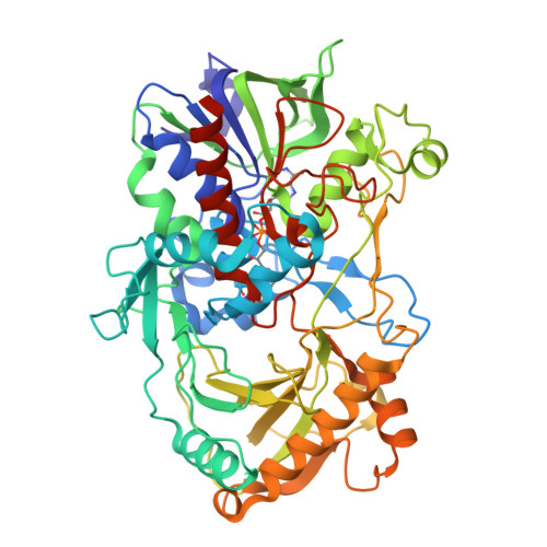 RCSB PDB - 3LJP: Crystal structure of choline oxidase V464A mutant