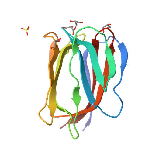 RCSB PDB - 3LL0: Monomeric Griffithsin with two Gly-Ser Insertions