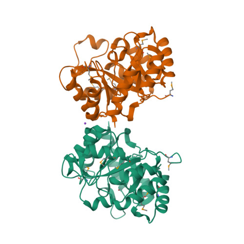 RCSB PDB - 3LM7: Crystal Structure of DUF1341 representative, from ...