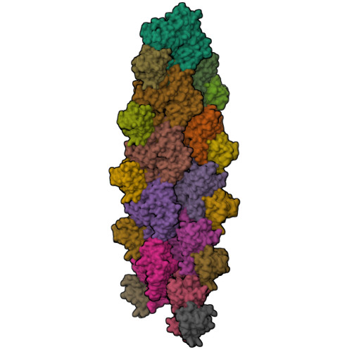 RCSB PDB - 3LUE: Model of alpha-actinin CH1 bound to F-actin
