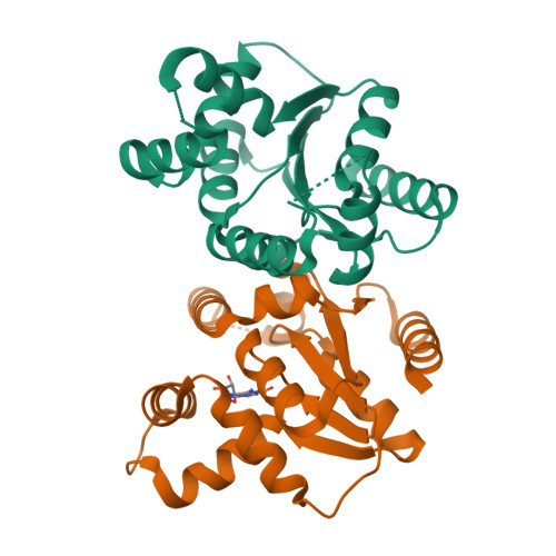 RCSB PDB - 3LW7: The Crystal Structure of an Adenylate kinase-related ...