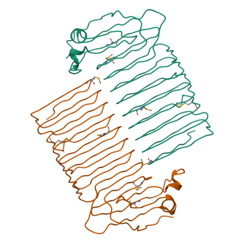 RCSB PDB - 3LYC: Crystal structure of Putative pectinase (YP_001304412 ...