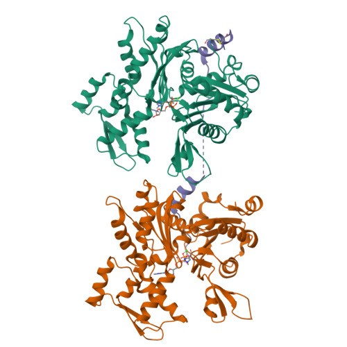 RCSB PDB - 3M3N: Structure of a Longitudinal Actin Dimer Assembled by ...