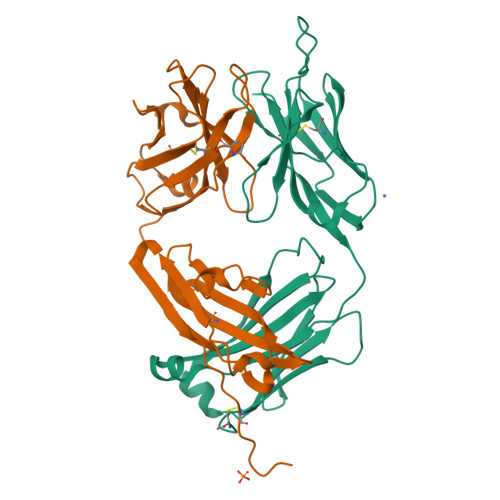 RCSB PDB - 3MBX: Crystal structure of chimeric antibody X836