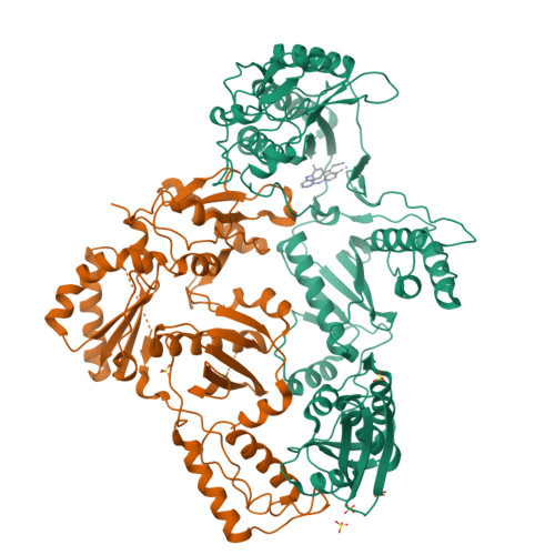 RCSB PDB - 3MEG: HIV-1 K103N Reverse Transcriptase in Complex with TMC278